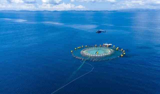 [LO MÁS LEÍDO EL LUNES] Carlos Saa, de Forever Oceans: “Todos nuestros ...