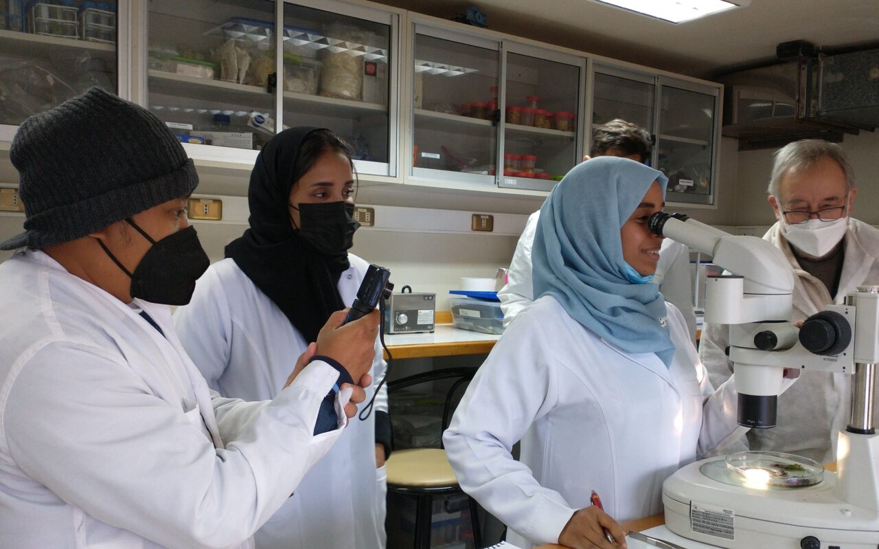 Investigadores del Núcleo Milenio MASH analizan el cultivo de ...